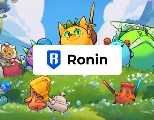 How to Add Ronin to MetaMask
